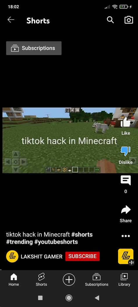 Tiktok Hack In Minecraft 😨 Ryoungpeopleyoutube
