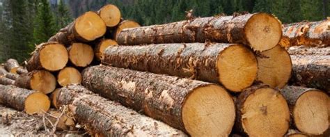 What Is Logging And How Does It Work