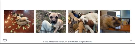 Aws Data Engineering Module 1 5 Flashcards Quizlet