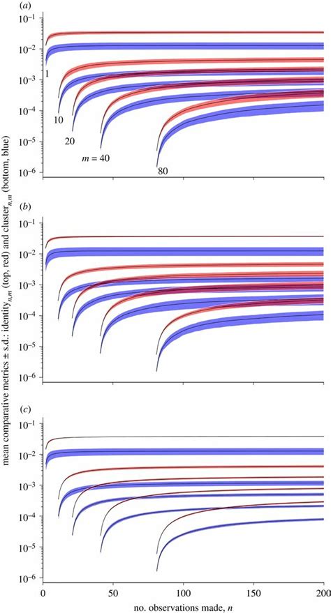 Comparing The Performance Of The Two Metrics Taken Dependent Upon The