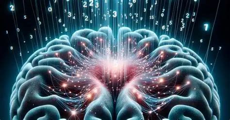 Researchers Describe How The Brain Encodes Lottery Numbers QS Study