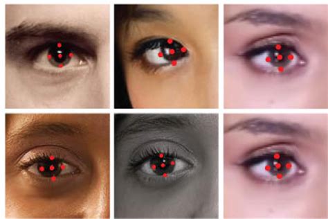 Figure 1 From A Robust Framework For Real Time Iris Landmarks Detection Using Deep Learning