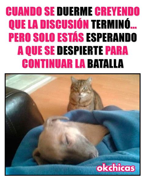 Yo Dándole Todo Mi Amor A Mi Sobrina Mi Sobrina ¿por Qué Estás Tan