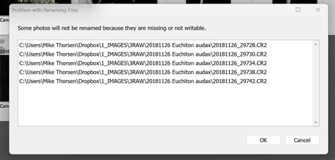 Rename Error In Online Only Files Adobe Community 13578126