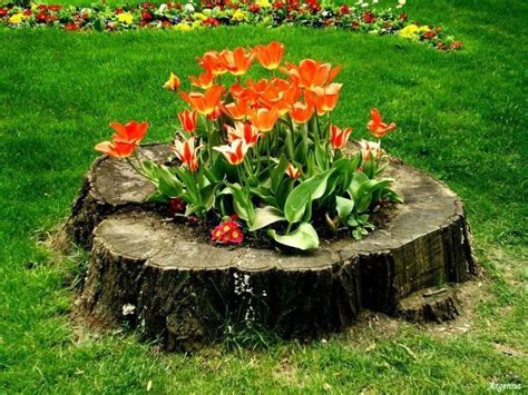 10 Ways To Decorate Hide A Tree Stump In Your Yard Artofit