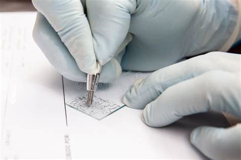 Laboratorian Labelling A Microscope Slide Using A Diamond Tip Pencil
