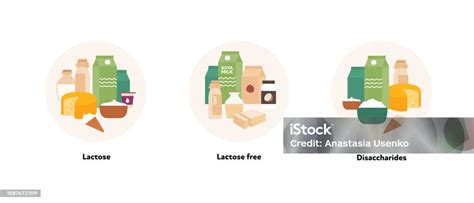 헬스케어 다이어트 인포그래픽 컬렉션 벡터 플랫 음식 그림입니다 낮은 Fodmap 다이어트 유당 유당이 없고 이당류 성분의 식품 접시 건강 관리와 건강한 식생활을 위한 디자인