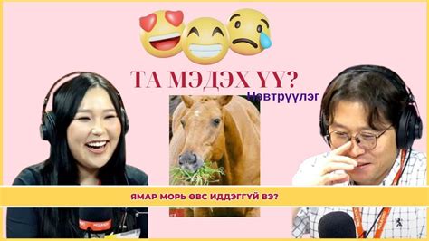 Та мэдэх үү 2024 10 08 Ямар морь өвс иддэггүй вэ Youtube