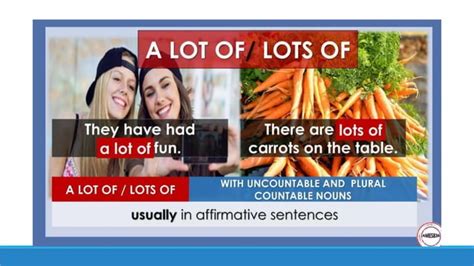 Quantifiers For Basic Sutudents Adults And Teens Ppt