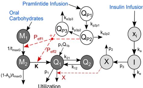 논문 리뷰 An Ai Enabled Dual Hormone Model Predictive Control Algorithm That Delivers Insulin And