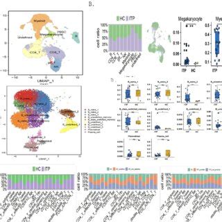 Fig A Clustering Display Of Tsne After Clustering Analysis Of All Download Scientific Diagram