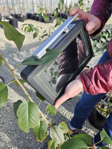 Physiology X Disease Tree Fruit Horticulture And Physiology Lab