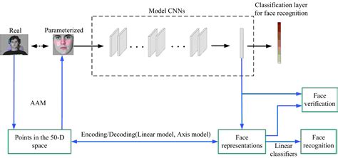 face representation by deep learning a linear encoding in a parameter