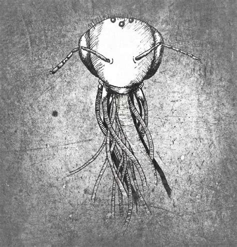 Australian Sludgestoner Metal Duo Sludgebeast Stream Their Debut Album Rise Of The Algorithm Australian Sludgestoner Metal Duo Sludgebeast Stream Their Debut Album Rise Of The Algorithm