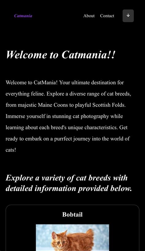 Siddiqat On Linkedin Techyjaunt Webdev Catmania Greenskills