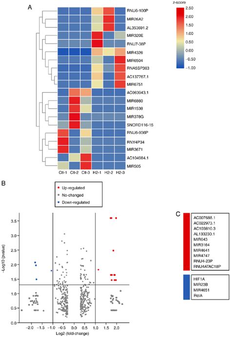Highly Deregulated Mrnas In Hela Cells With Or Without H 2 Download Scientific Diagram