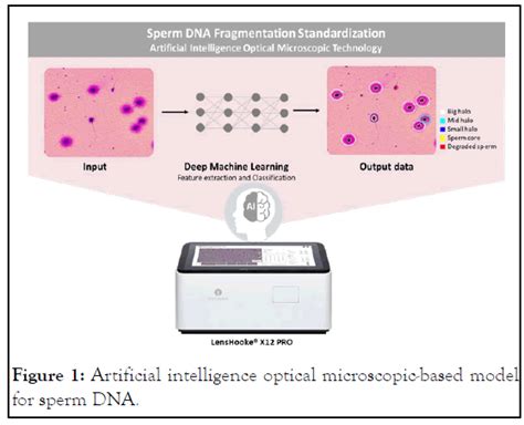 Standardization Of Sperm Dna Fragmentation Evaluation A Step Tow