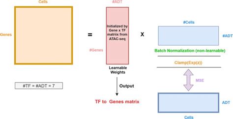 MultiSC A Deep Learning Pipeline For Analyzing Multiomics Single Cell Data PMC