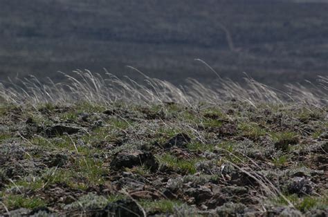 Cwu Pulse Magazine Sex Can Be Kind Of An Awkward Topic But If There