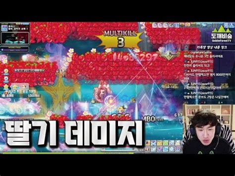 메이플스토리 딸기 데미지 스킨 딸기가 조아 조아 조아 YouTube