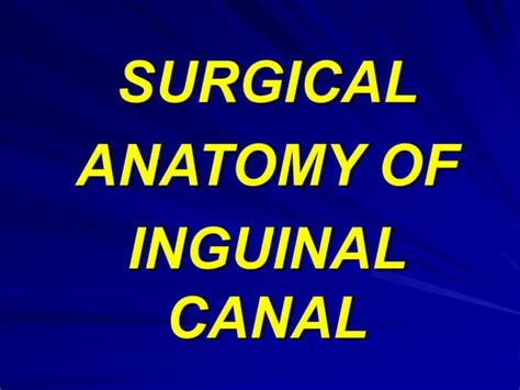 Inguinal Canal2ppt