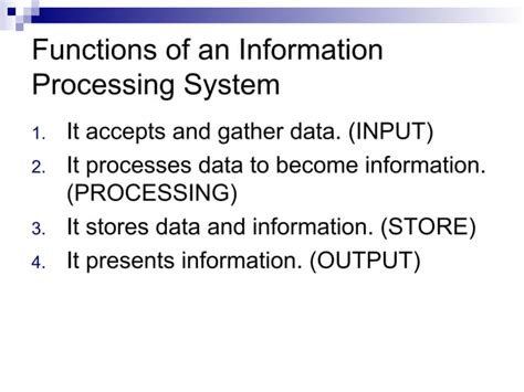 Presentation Of Information Processing System Ppt
