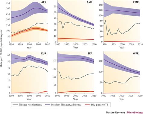 Recent Trends In Tb Incidence And Case Notification Rates The Graphs