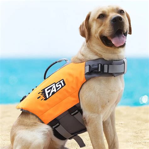 Gilet De Sauvetage Pour Chien Flottant Et Résistant Oscar Et Plume