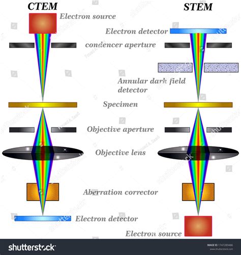 Schematic Ray Diagram Illustrating Optical Reciprocity Stock Vector