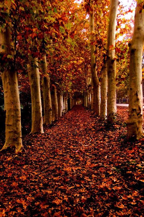 💔 ღალატი ყველანაირად განადგურებს 💔 ღალატი ყველანაირად განადგურებს