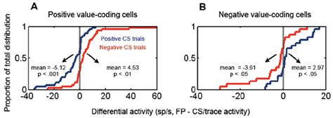 Neural Responses During The Fixation Interval Are Not Related To