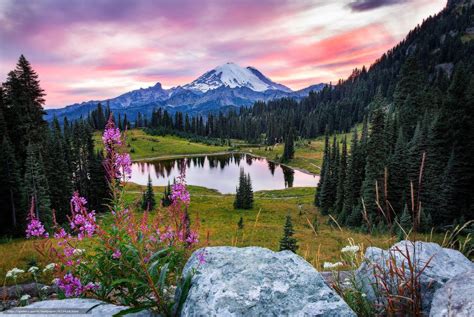 Mount Rainier 4k Wallpapers Top Free Mount Rainier 4k Backgrounds