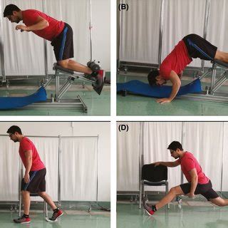 Eccentric Hamstring Exercises Pdf EOUA Blog