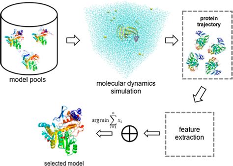 Protein Structure Using Molecular Dynamics Simulations At Andrew York Blog Protein Structure Using Molecular Dynamics Simulations At Andrew York Blog