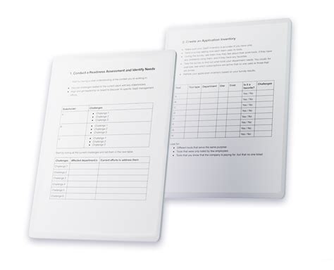 Application Rationalization Template