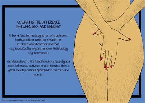Frequently Asked Questions FAQ On Sex Sexuality And Gender Gaysi