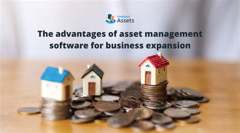 The Advantages Of Asset Management Software For Business Expansion