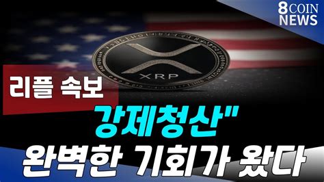 리플 강제청산 Youtube