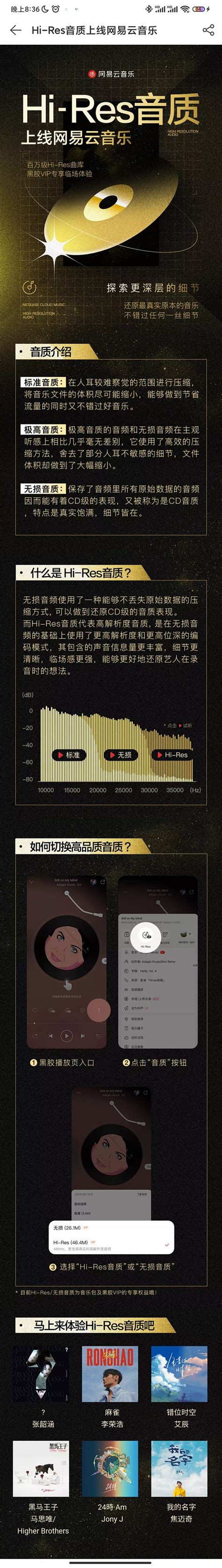 网易云音乐 音乐H 黑金 平面