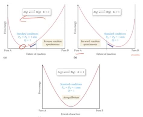 Lecture Flashcards Quizlet