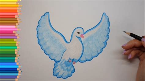 Як намалювати красивого голуба Малюємо птицю кольоровими олівцями Ravlyk