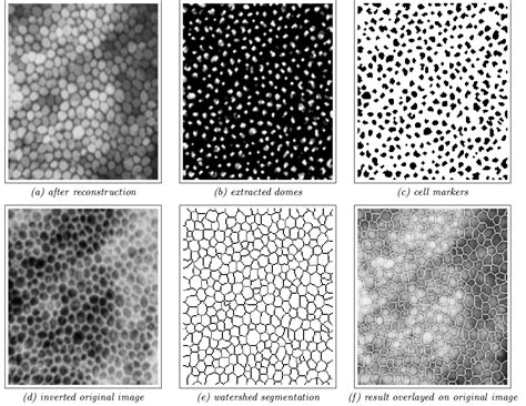 Opencv Watershed Segmentation Always Return Black Image Stack Overflow