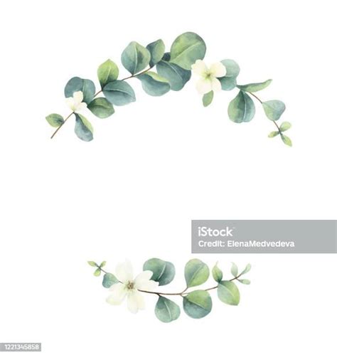 녹색 유칼립투스 잎과 흰색 장미와 수채화 벡터 손으로 그린 프레임 카드 결혼식 초대장 포스터 흰색 배경에 고립 된 날짜 또는 인사말 디자인을 저장하는 그림 유칼립투스에 대한