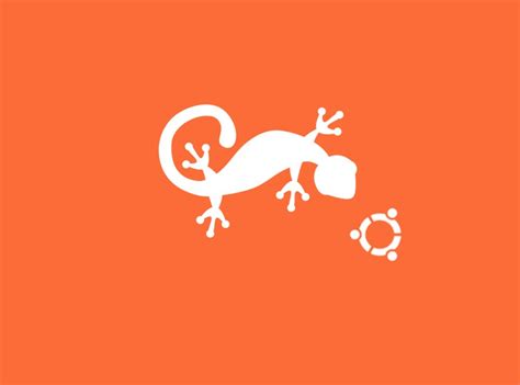 How To Install Ssh Server On Ubuntu 13 10 Saucy Salamander Xappsoftware