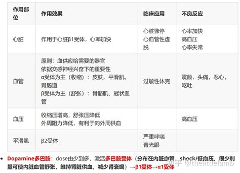 药理学3 传出神经系统药物 知乎