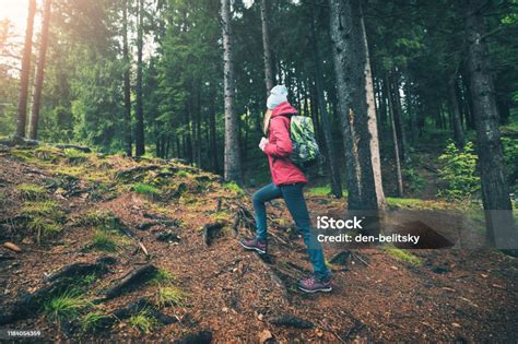 봄이 되면 배낭을 메고 녹색 숲속을 걷고 있는 젊은 여성 빨간 재킷에 슬림 소녀는 화창한 저녁에 하이킹입니다 관광 나무 녹색 잔디와 아름 다운 장면입니다 여행 및 관광