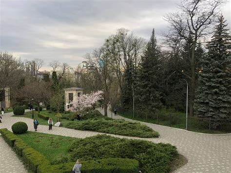 Чекають неймовірні успіхи астролог розсекретила які 4 знаки злетять карєрними сходами в