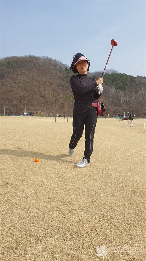 파크골프 시작했어요