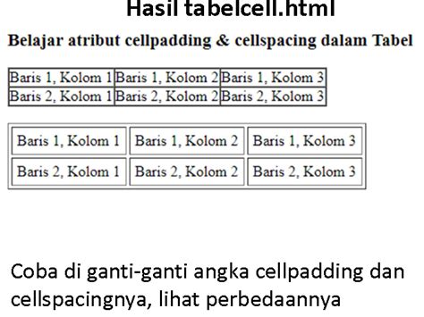 Cellspacing Html