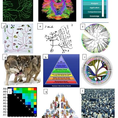 3 The Two Types Of Containment Hierarchies ―taxonomic‖ And 3 The Two Types Of Containment Hierarchies ―taxonomic‖ And